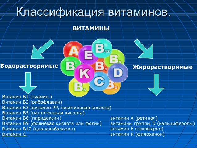 ПРОДУКТОВАЯ ЛИНИЯ ЖИЗНИ: КАКИЕ ВИТАМИНЫ НУЖНЫ ОРГАНИЗМУ? ВИДЫ ВИТАМИНОВ