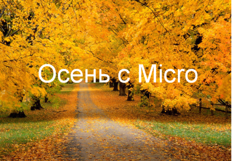 Купить самокат | Micro | самокат для детей от года, самокаты для ...